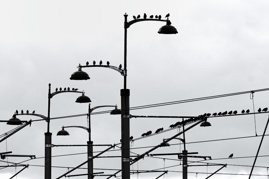 Telgraf Nedir? Tarihçesi, Çalışma Prensibi ve İletişimdeki Yeri - Satır ...